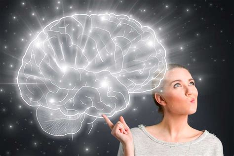 ¿cómo Funciona El Cerebro