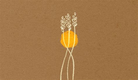 Muesli :: Behance