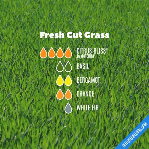 Fresh Cut Grass