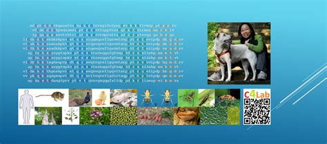 When Deep Learning Meets Bioinformatics In Personal Genome Annotation