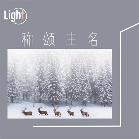Light Worship 专辑列表 爱赞美
