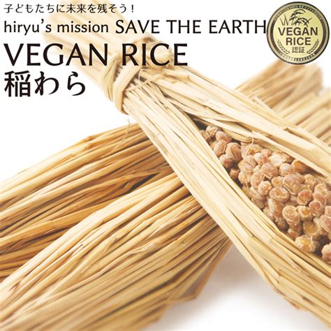 Vegan Rice Hiryu
