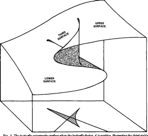 Butterfly Surface 3d Plot Catastrophe Theory R Maths