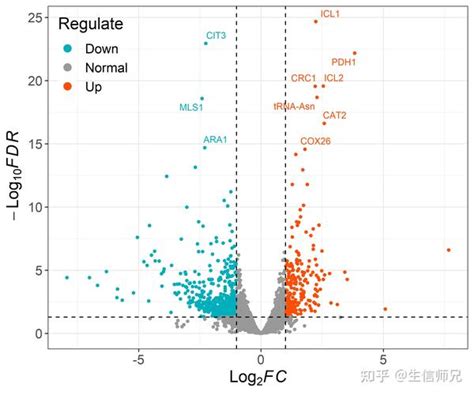 再肝一个R包一行代码绘制精美火山图 知乎