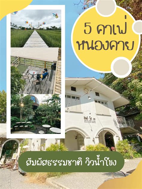 แนะนำ 5 คาเฟ่ หนองคาย สัมผัสธรรมชาติ วิวแม่น้ำโขง ห้ามพลาด แกลเลอรีที่โพสต์โดย Mosserz Lemon8