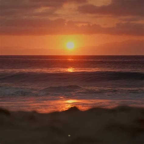 Ediscovery Assistant On Linkedin Happy New Year From Ediscovery Assistant