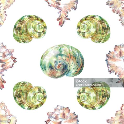 조개 패턴 수중 세계 수채화 Murex Endivia 소라 달팽이 터보 쉘 다른 형태의 달 달팽이 바다 조개 바다 달팽이는 스티커 인쇄 된 엽서 스파 살롱 스파 센터
