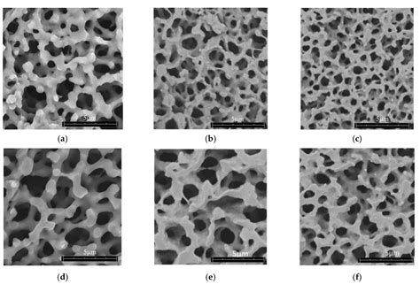 Nerve Response To Superelastic Shape Memory Polyurethane Aerogels