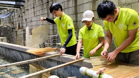 大学生三下乡躬行实践助力水产养殖 耕海兴渔服务海上福建 医药医改频道 东方养生
