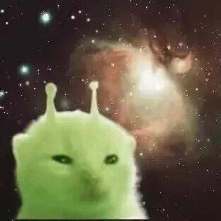 外星绿猫表情包 哔哩哔哩