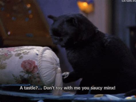 Sabrina The Teenage Witch 90s  Find And Share On Giphy