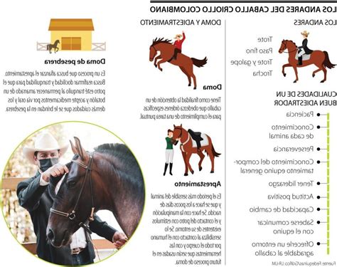 Caballos Criollos Colombianos Historia Características Y Cuidados