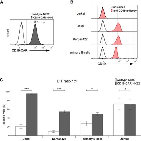 Improved Cytotoxicity Of Cd19 Car Nk92 Cells Versus Cd19⁺ Target Cells