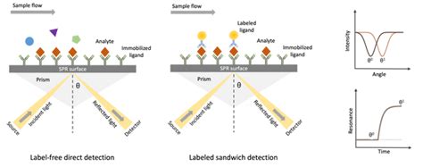 Surface Plasmon Resonance Cytogroup