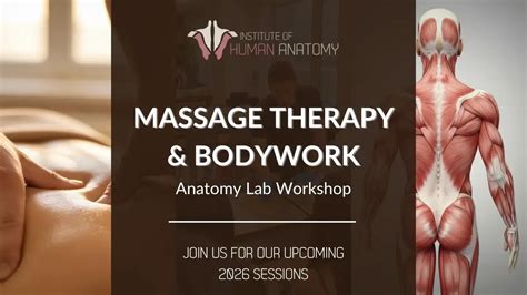Massage Therapy And Bodywork Anatomy Lab Workshop