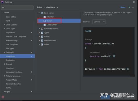 phpstorm2023 IDEA PyCharm WebStorm 去掉 Usages 提示 知乎