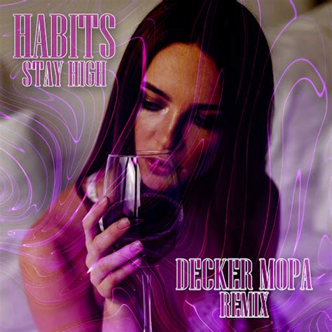 Habits Stay High Remix Youtube Music