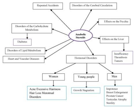 Health Effects Of Using Anabolic Steroids 14 Download Scientific Diagram