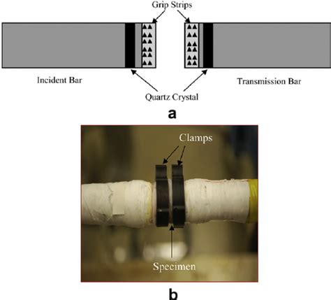 Typical Signals Recorded From A Modi Fi Ed Kolsky Tension Bar