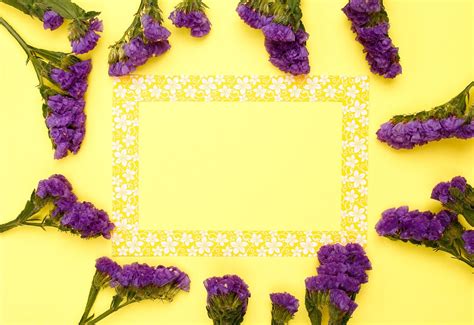 액자 꽃들 꽃 프레임 복사 Pixabay의 무료 사진