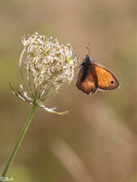 Graphub Photographie Added A New Photo Graphub Photographie