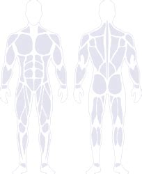 Reverse Warrior Viparita Virabhadrasana Yoga Posen Guide Von