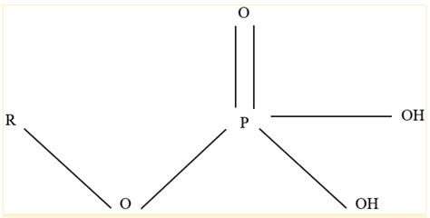 Functional Groups Phosphate