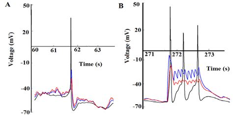 3 A Somatic Membrane Potential Black And Backpropagation Of Action Download Scientific