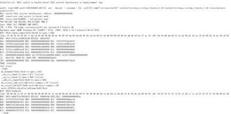 技术积累syzkaller环境配置 Shaw