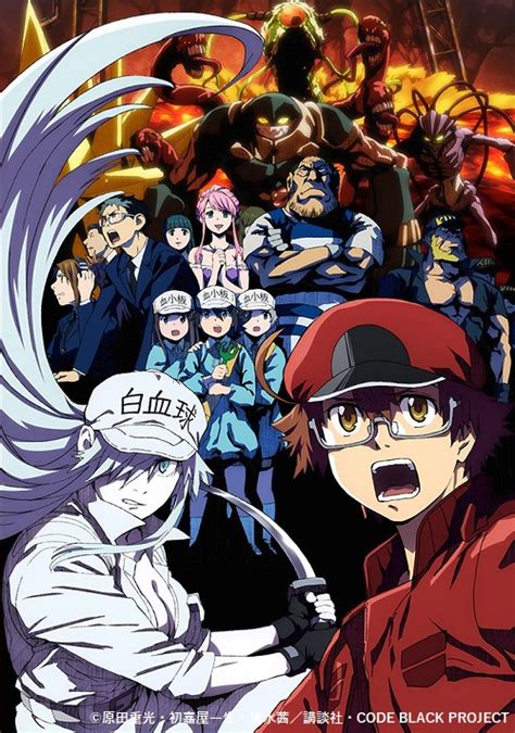 Cells At Work Season 2 Code Black Episode Numbers Volume