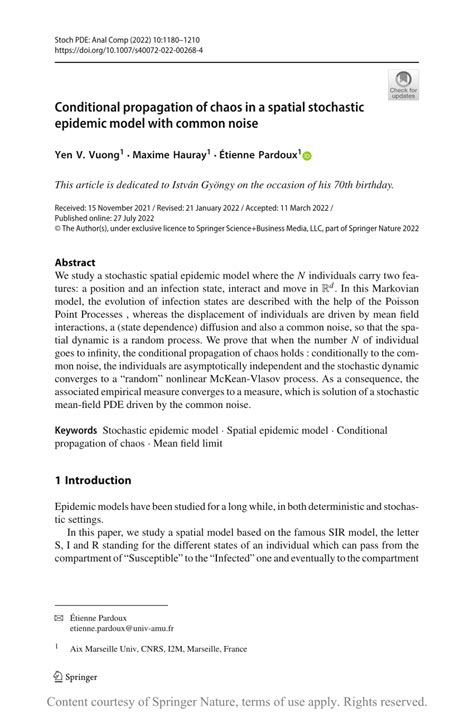 Conditional Propagation Of Chaos In A Spatial Stochastic Epidemic Model With Common Noise