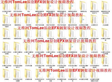 Tomlee原创efx钢结构设计视频教程