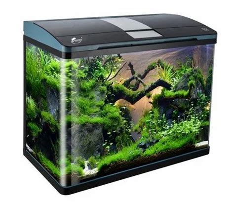 Artificial Electric Aquarium Fish Tank Plastic Plants Size L At Rs Piece In Balasore