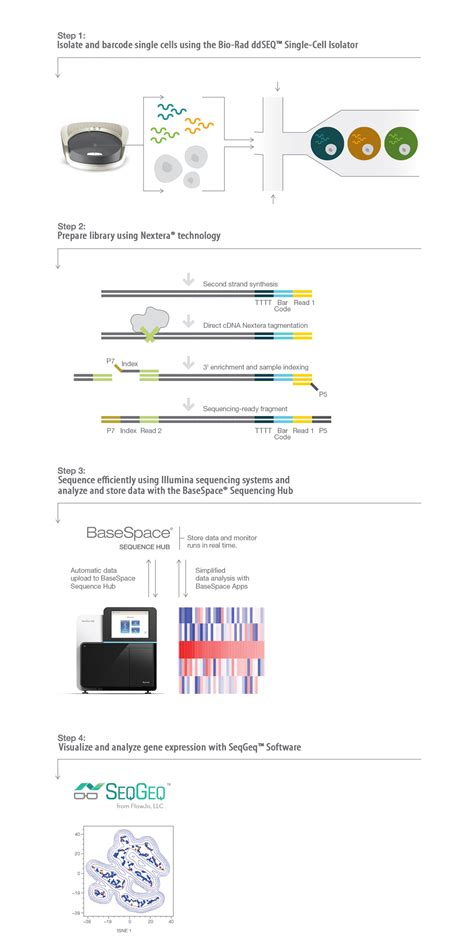 High Throughput Single Cell RNA Seq Of Large Cells And Nuclei