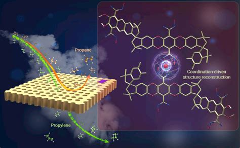 Coordination Driven Structure Reconstruction In Polymer Of Intrinsic
