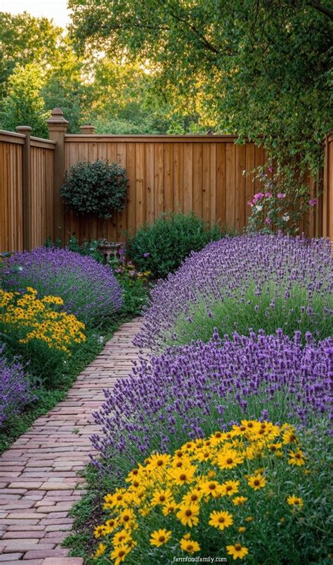 40 Budget Friendly Small Garden Around Fence Ideas Youll Love 2026