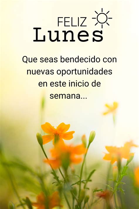 99 Imágenes De Feliz Lunes ️ Imágenes Buenos Días