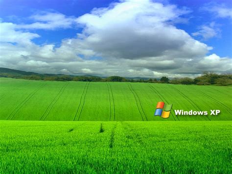 🔥 50 Windows Wallpapers Grass Wallpapersafari