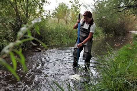 Volunteers Collect Bugs For Science Along Longmont Creeks The Longmont