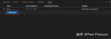 远程服务器wsl2 Docker中的tensorboard食用教程 知乎