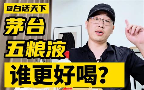 茅台和五粮液，谁更好喝？ 白话频道 白话频道 哔哩哔哩视频
