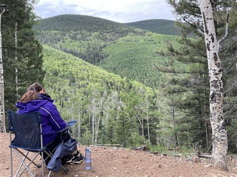 Gallery Cindy Van Loo