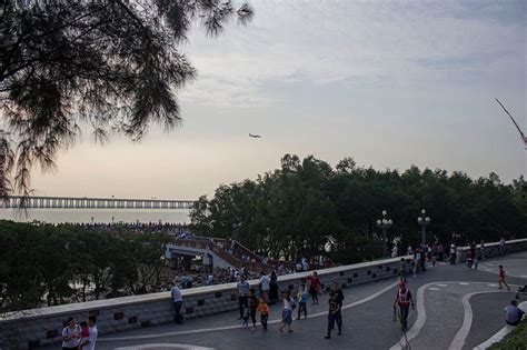 宝安西湾红树林公园图片浏览 宝安西湾红树林公园图片下载 酷吧图库