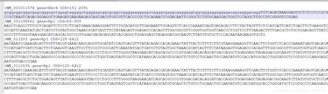 Python常见的文本处理 Fasta文件格式处理phy转fasta Csdn博客