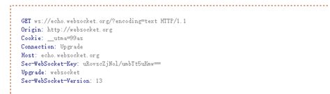 Html5 Websocket初探 Myzhibie 博客园