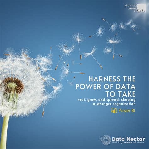 Data Businessintelligence Resilient Bisolutions Seeds Dataanalytics Datadrivendecisions