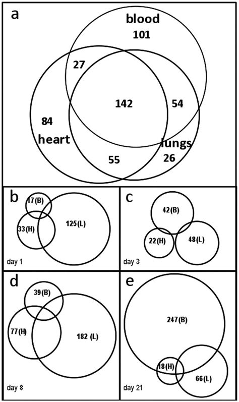 Metabolomics Data Sets And Differentially Altered Metabolomes In Ets Download High