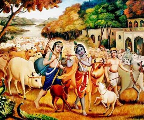 गोपाष्टमी आज गाय और बछड़ों की करें उपासना बढ़ेगा सुख सौभाग्य