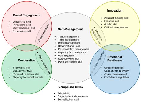 Seb Skill Domains And Facets In The Bessi Framework Proposed By Soto Et