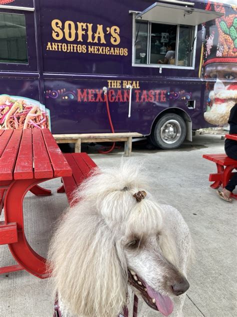 Sofias Antojitos Mexicanos Updated May 2024 23242 Fm1314 Porter Texas Mexican